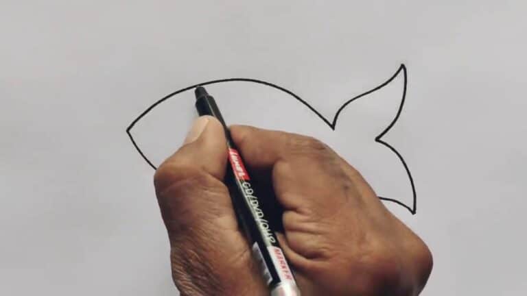 How to Create a Simple Fish Drawing in Minutes (10 Easy Steps)