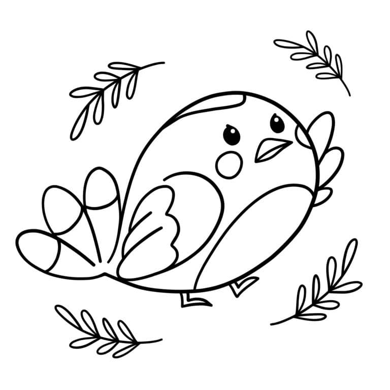 40 Easy & Cute Bird Drawing Ideas