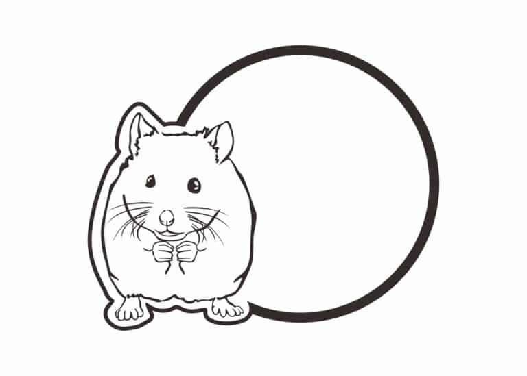 30 Cute Hamster Drawing Made Easy